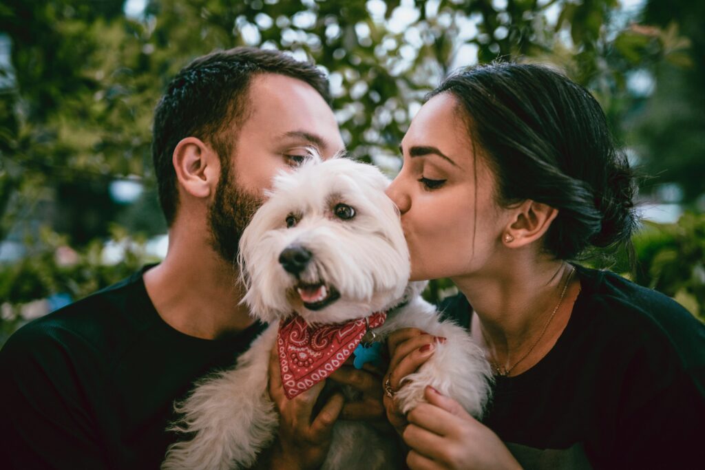 Links 4 Net | Building a Strong Local Community